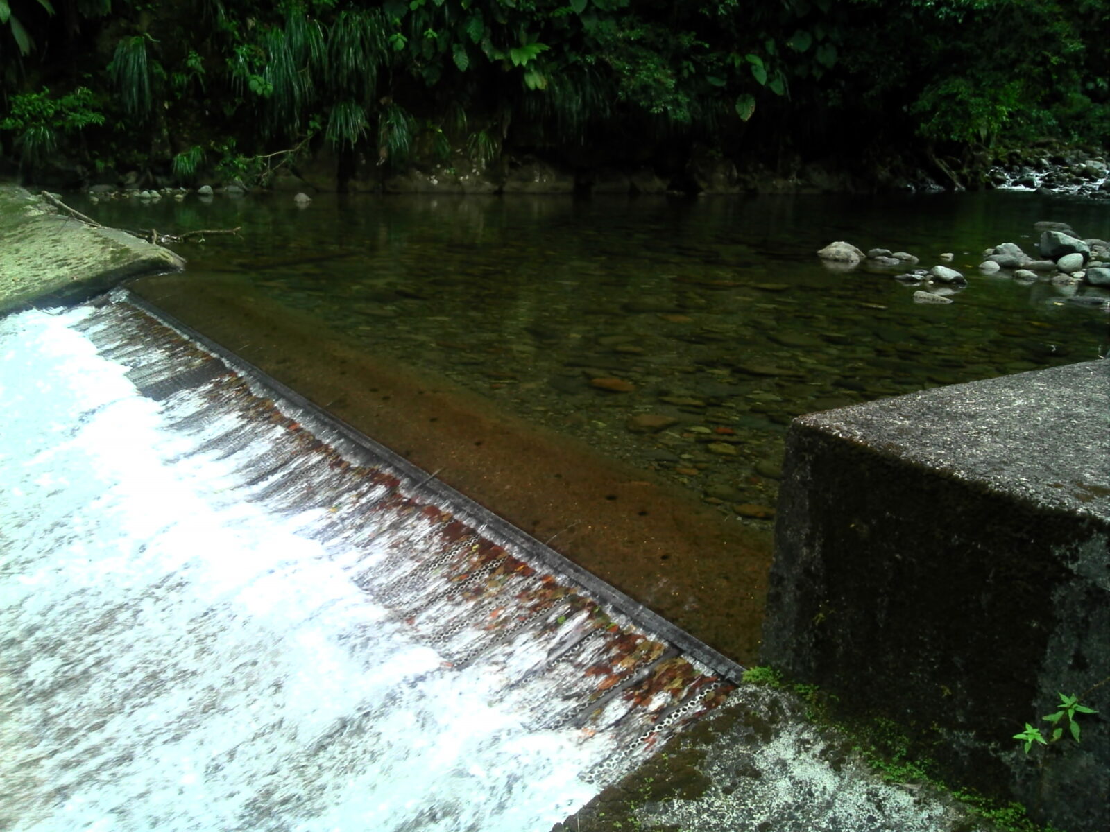 La qualité de l'eau potable en Guadeloupe